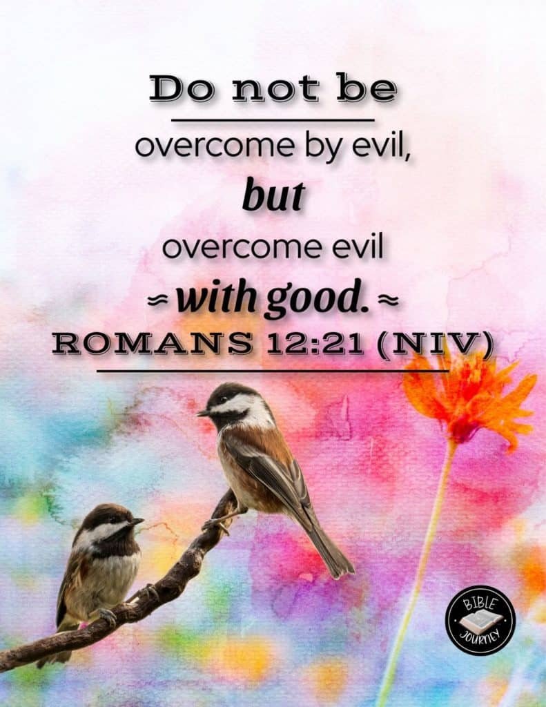 Romans 12:21 - Picture Bible Verse