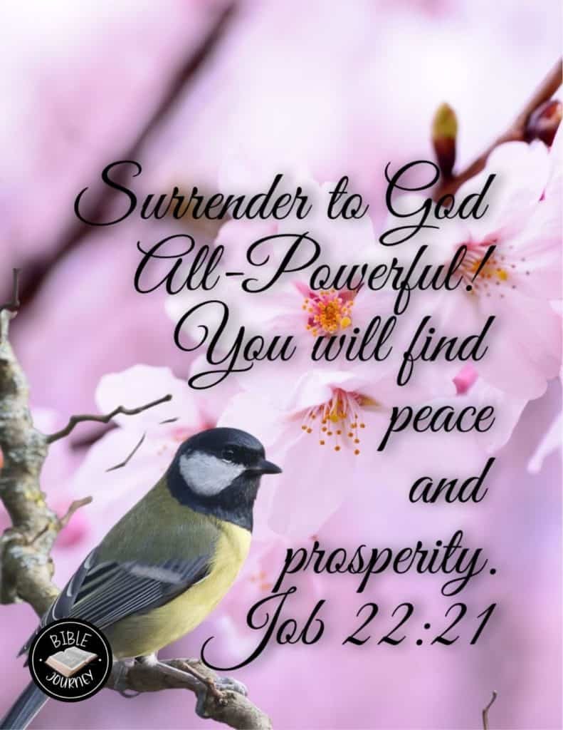 Job 22:21 - Embrace Peace and Prosperity in Your Life