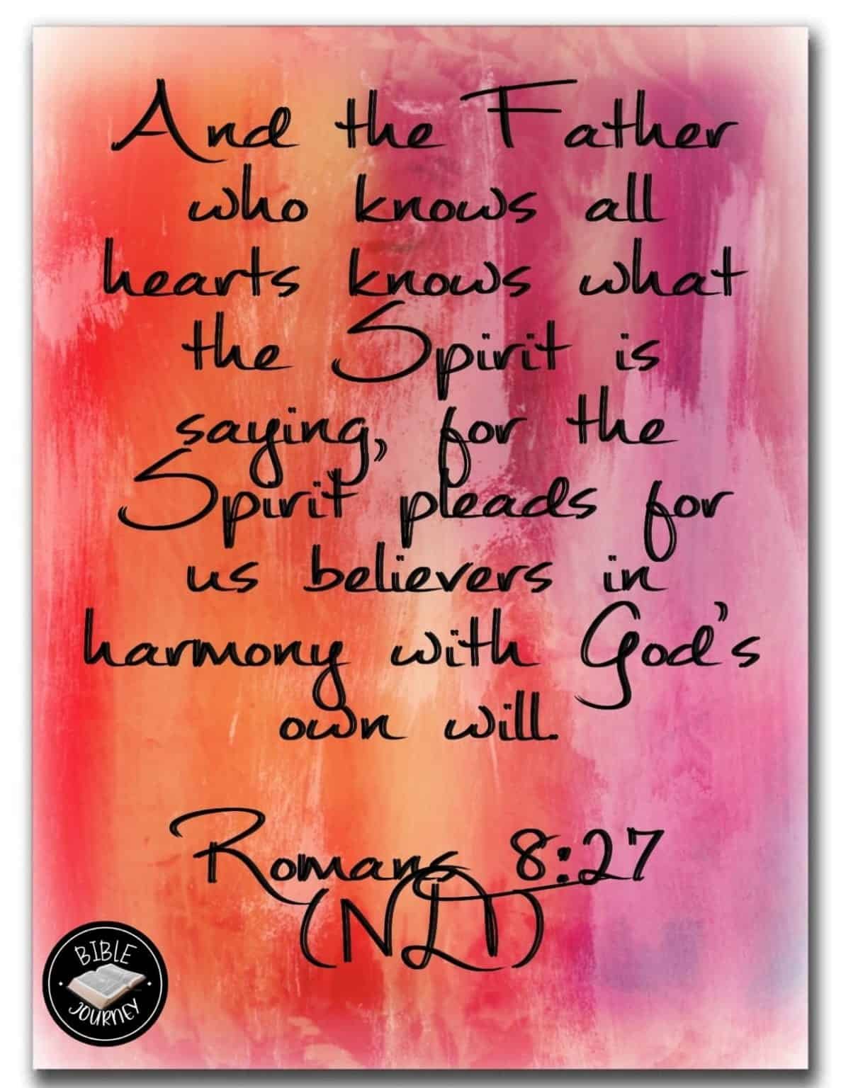 Romans 8 27 NLT Picture Bible Verse