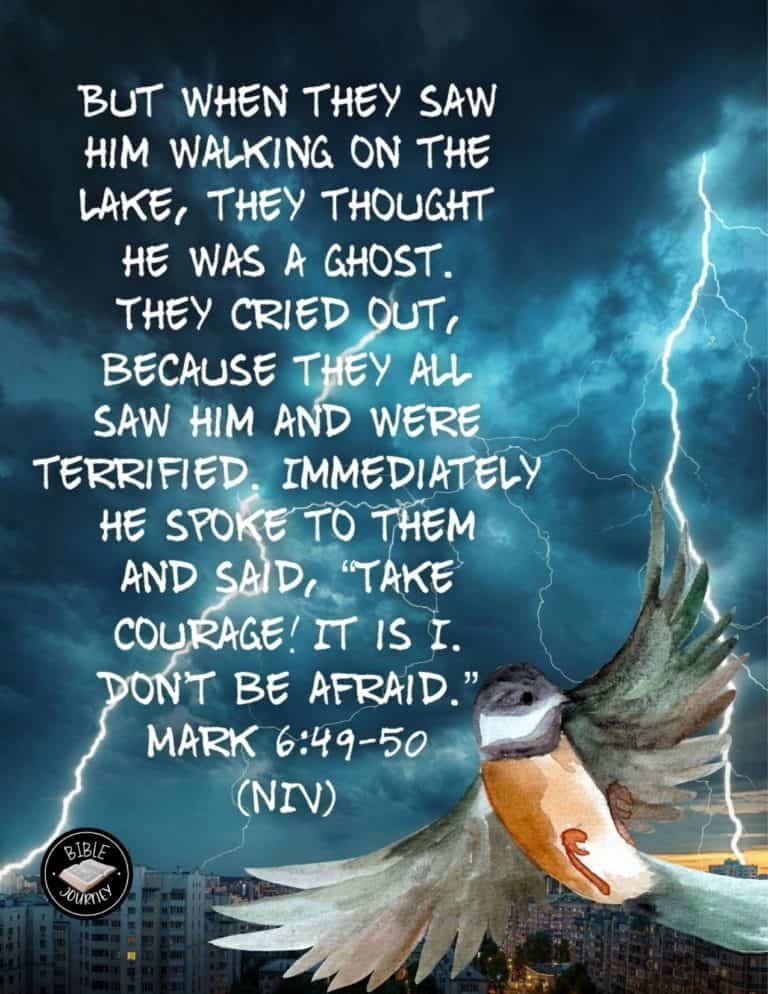 The Book of Mark - Collection of Picture Bible Verses