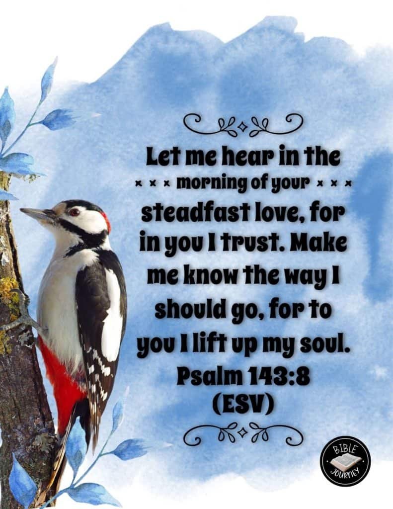 Psalm 143:8 ESV - A Bible Verse About Love - Picture Bible Verses