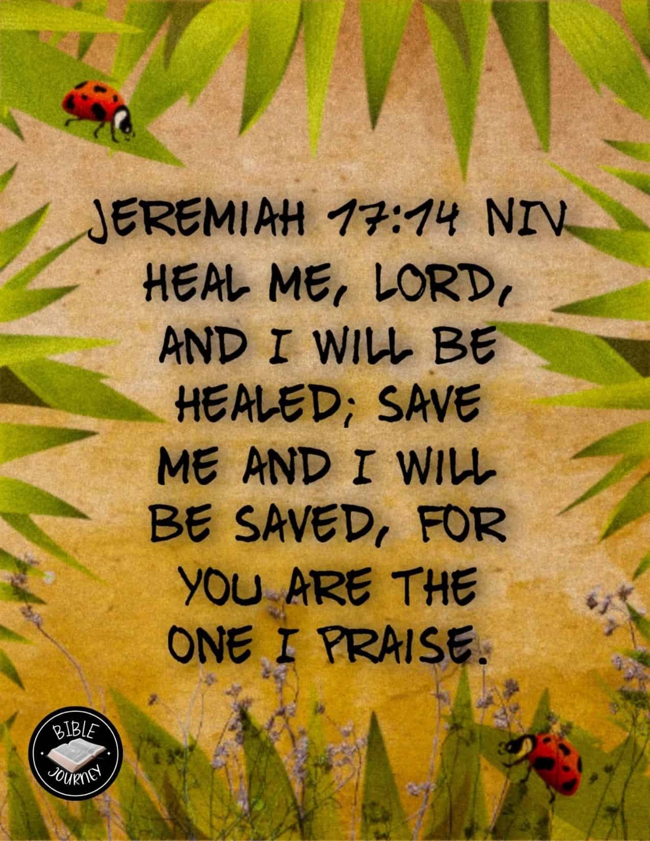 Jeremiah 17:14 Image of Hope and Healing in Times of Trouble