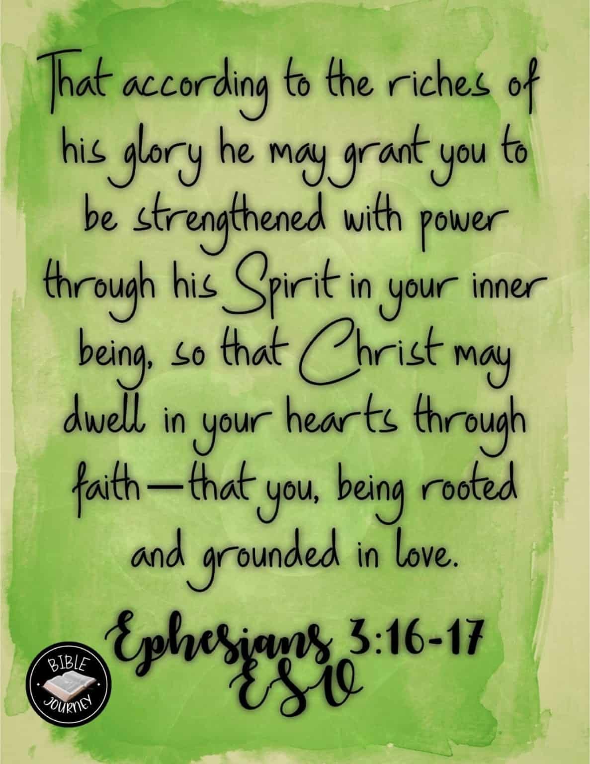 16 Bible Verses About Enlightenment - Discover Inner Peace