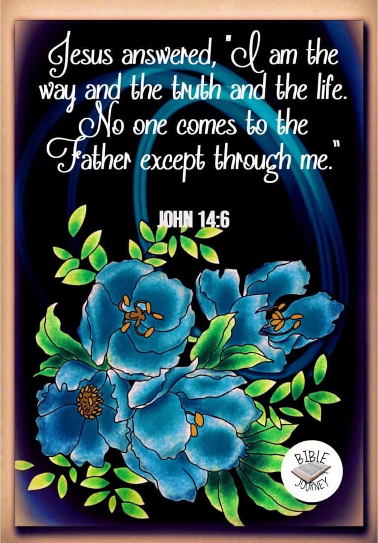 John 14 6 NIV Picture Bible Verses