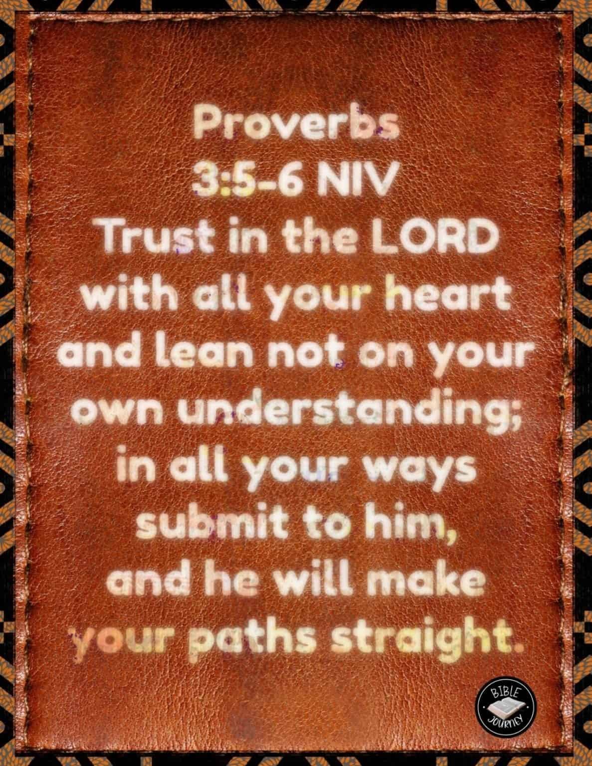 Proverbs 3 5 6 NIV Trust In The Lord A Lesson On Faith 